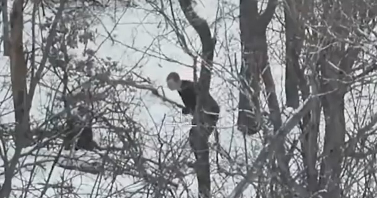 The occupier revealed his dugout: how did he pay for it? | Censor.NET