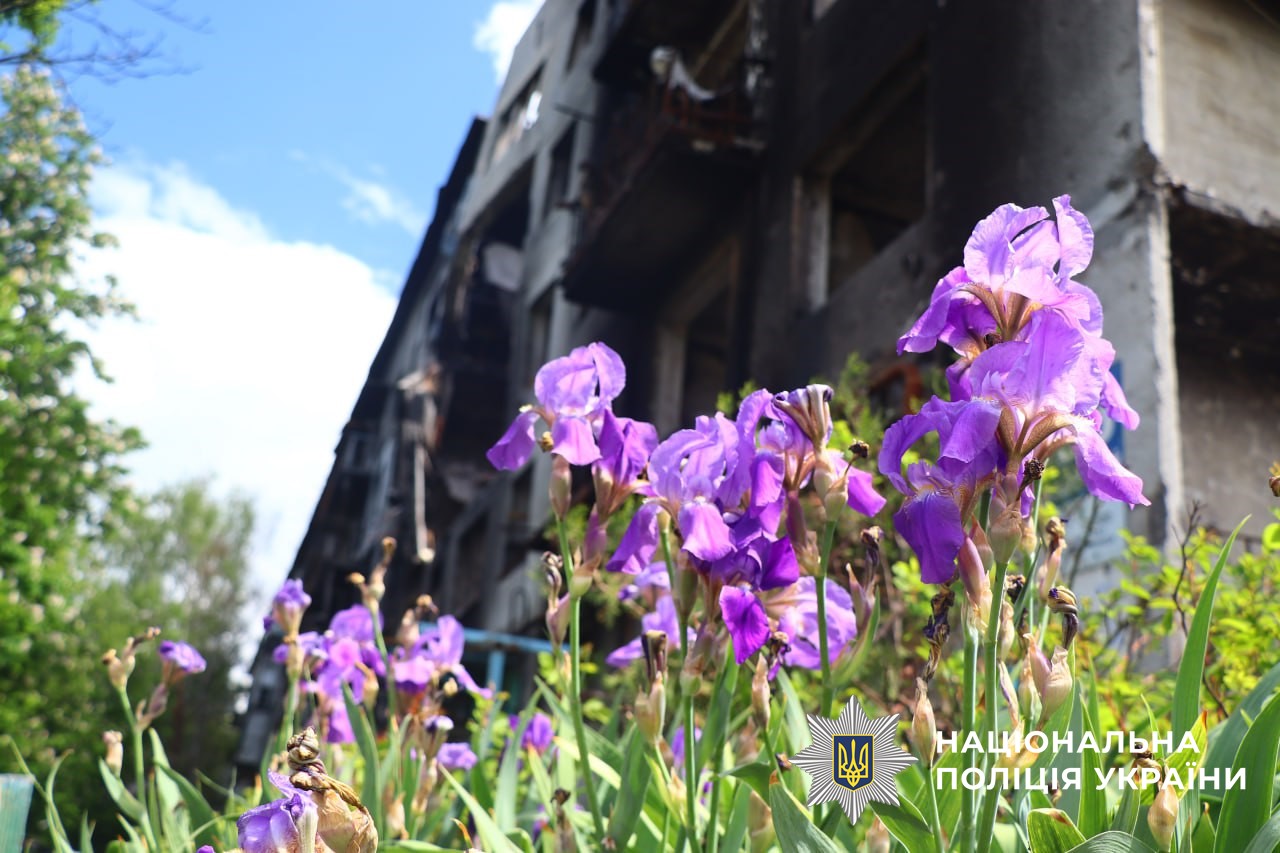 There are still 1413 people in Pokrovsk, evacuation is becoming more ...