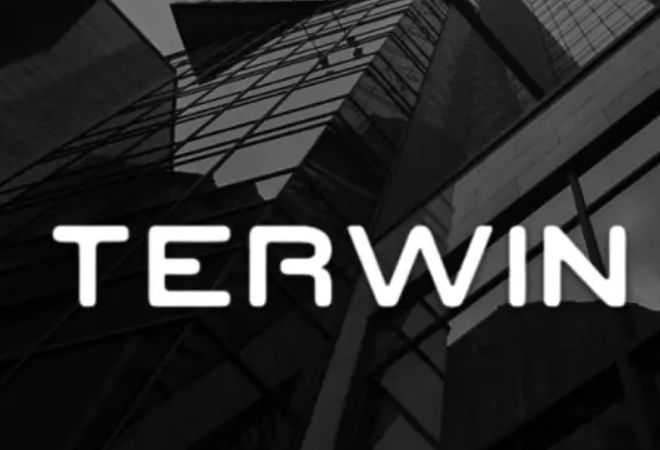 TERWIN | Цензор.НЕТ