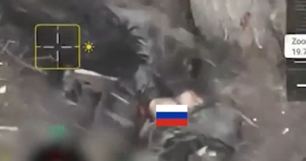 Animal protection. Wild animals in the war zone | Censor.NET
