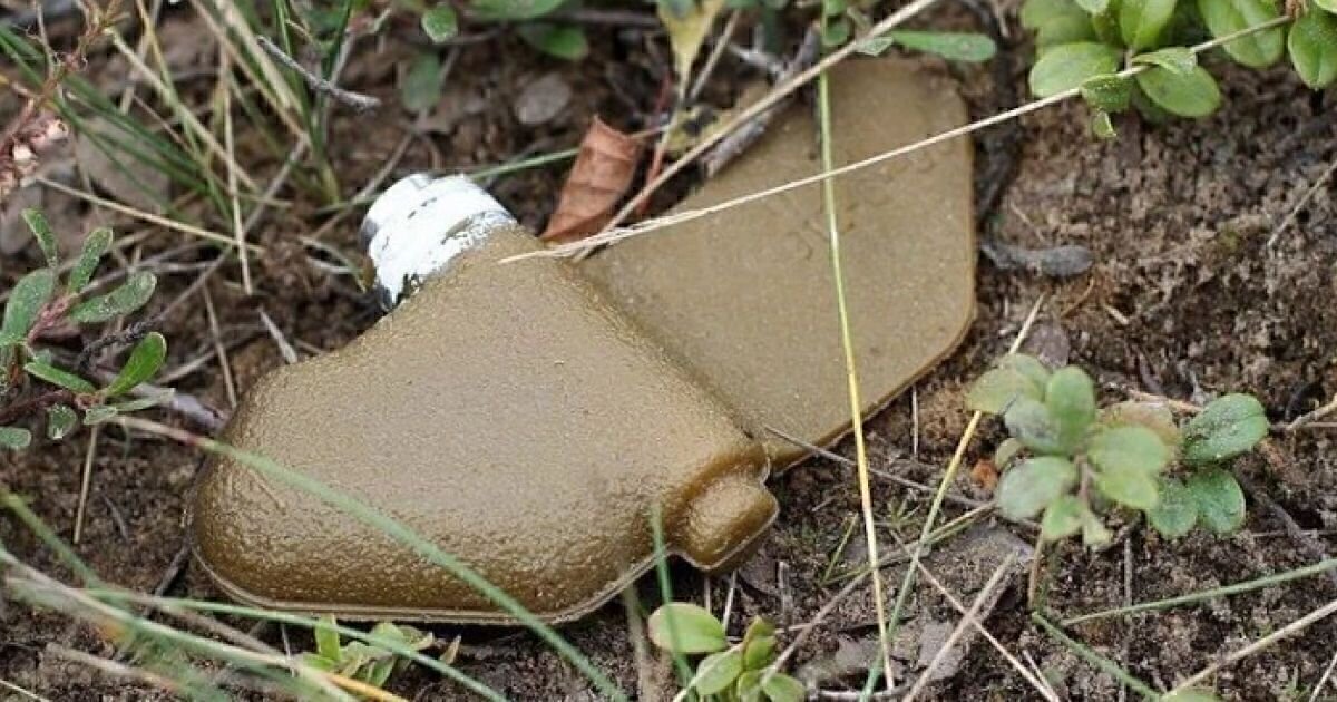 Російські окупанти підірвалися на власній міні біля кордону з Україною Цензор НЕТ