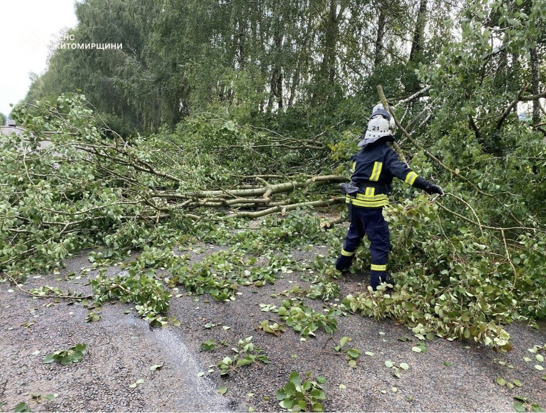 Consequences of bad weather in Ukraine: flooding, fallen trees and ...